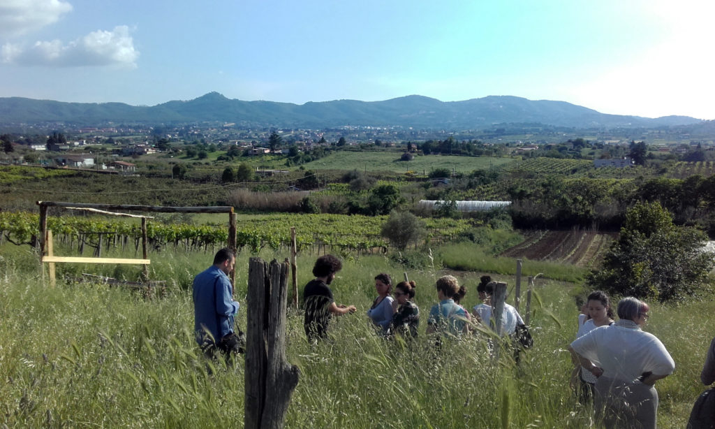 Pantasema, el proyecto de agricultura sostenible del Wiki Hostel